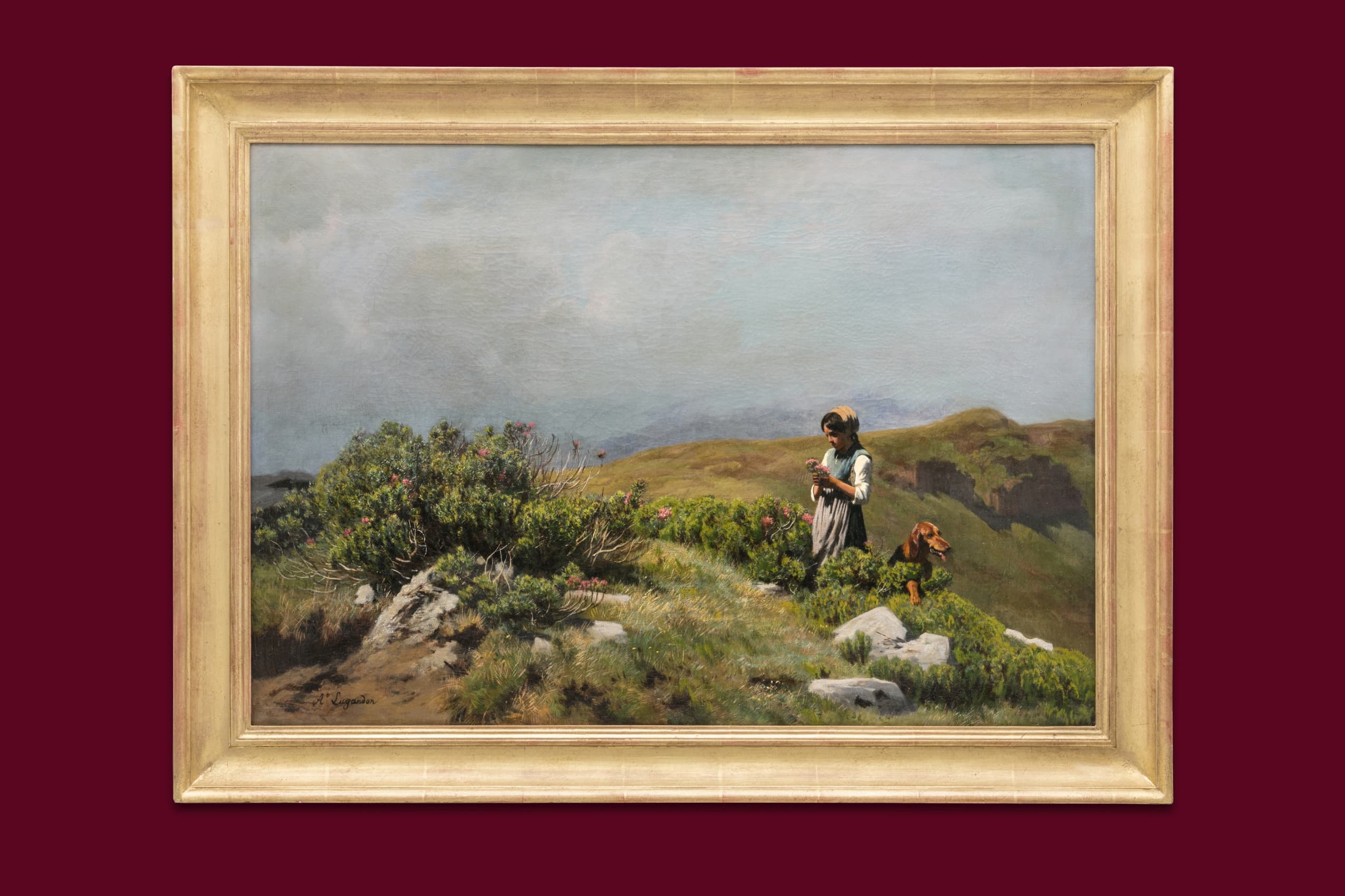 Alpenmädchen - Galantica Collection