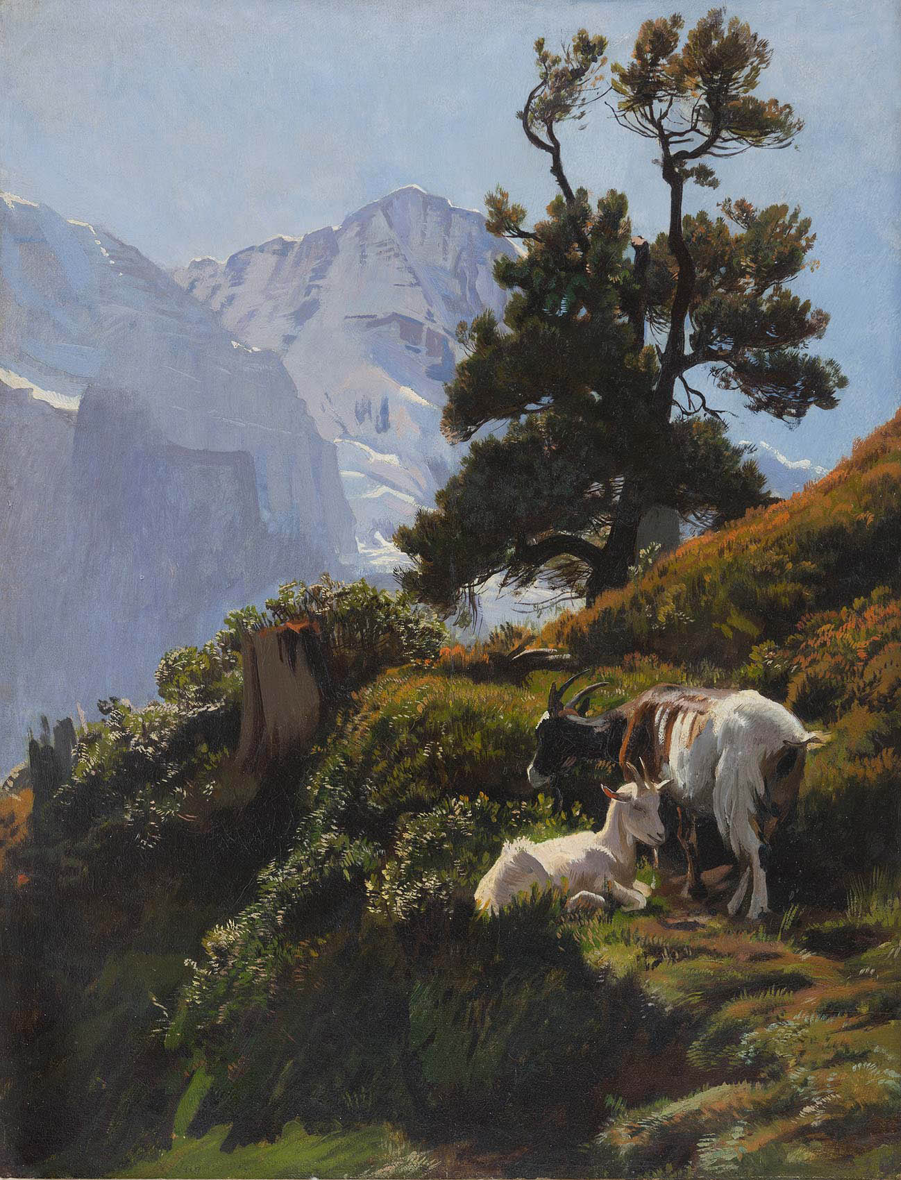 Ruhende Ziegen - Galantica Collection