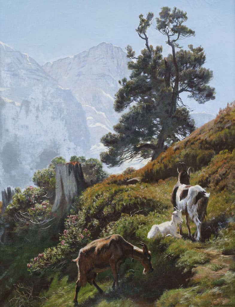 Sommerliche Alp mit Ziegen - Galantica Collection